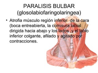 Semiológica Cabeza y Cuello | PPT
