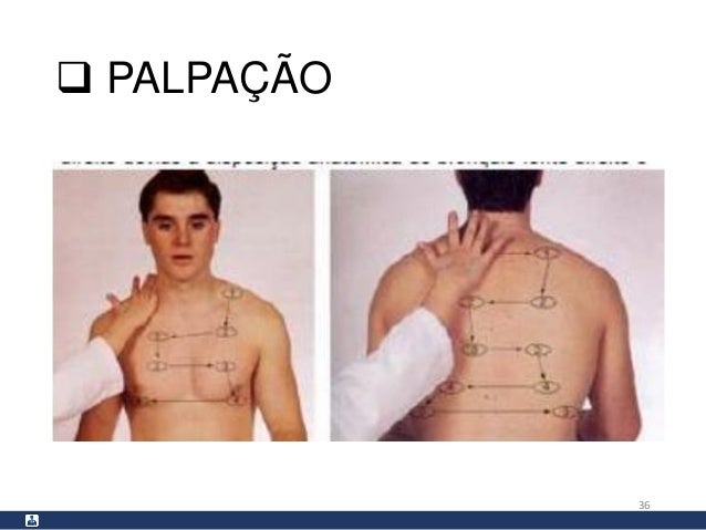 Semioliga - Aula Sistema Respiratório (Básica)