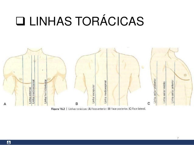 Semioliga - Aula Sistema Respiratório (Básica)