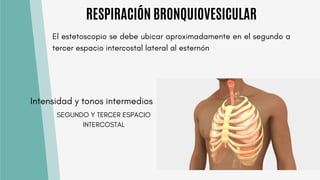 Semiología. examen físico del aparato respiratorio. generalidades ...