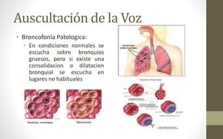 Semiología del aparato respiratorio | PPT