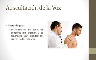 Semiología del aparato respiratorio | PPT