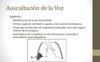Semiología del aparato respiratorio | PPT