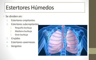 Semiología del aparato respiratorio | PPT
