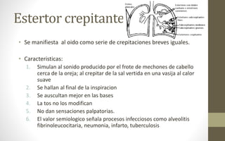 Semiología del aparato respiratorio | PPT
