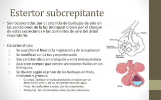 Semiología del aparato respiratorio | PPT