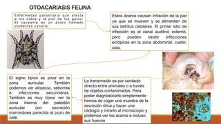 Semiología - Exploración del Oído y patologías comúnes.pptx