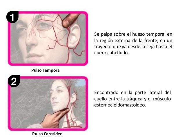 Semiología cardiaca