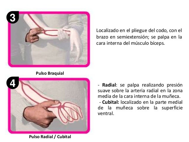 Semiología cardiaca