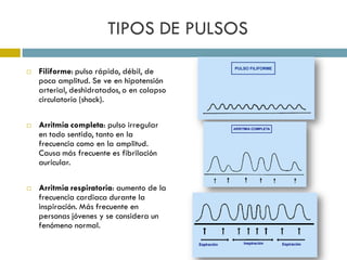 Semiología cardiovascular | PDF