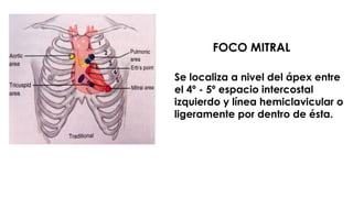 Semiología Cardiovascular SEMIOLOGIA2024.pdf