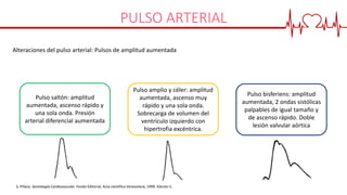 Semiología Cardiovascular. Inspección, Palpación, Auscultación | PPTX
