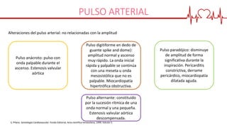 Semiología Cardiovascular. Inspección, Palpación, Auscultación | PPTX