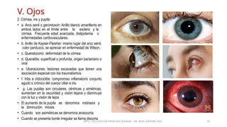 SEMIOLOGÍA DE CABEZA Y CUELLO - Clase Magistral.pptx