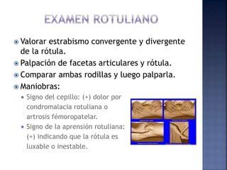 Semiología de eeii | PPTX