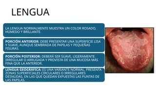 SEMIOLOGÍA DE LA CAVIDAD ORAL Y LA FARINGE.pptx
