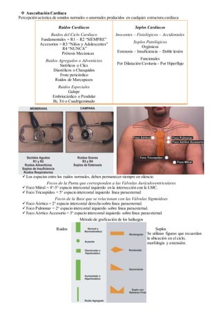Semiología del Aparato Cardiovascular | DOCX
