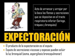 Semiología del aparato respiratorio | PDF