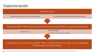 Semiología del aparato respiratorio | PPTX