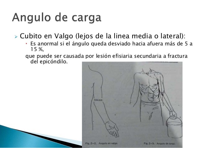 Semiología del Codo