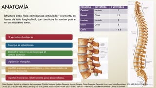 SEMIOLOGÍA DEL DOLOR LUMBAR Y LUMBALGIA CRONICA.pptx