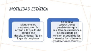 Semiología_del_Sistema_Motor. Neurologia | PPT