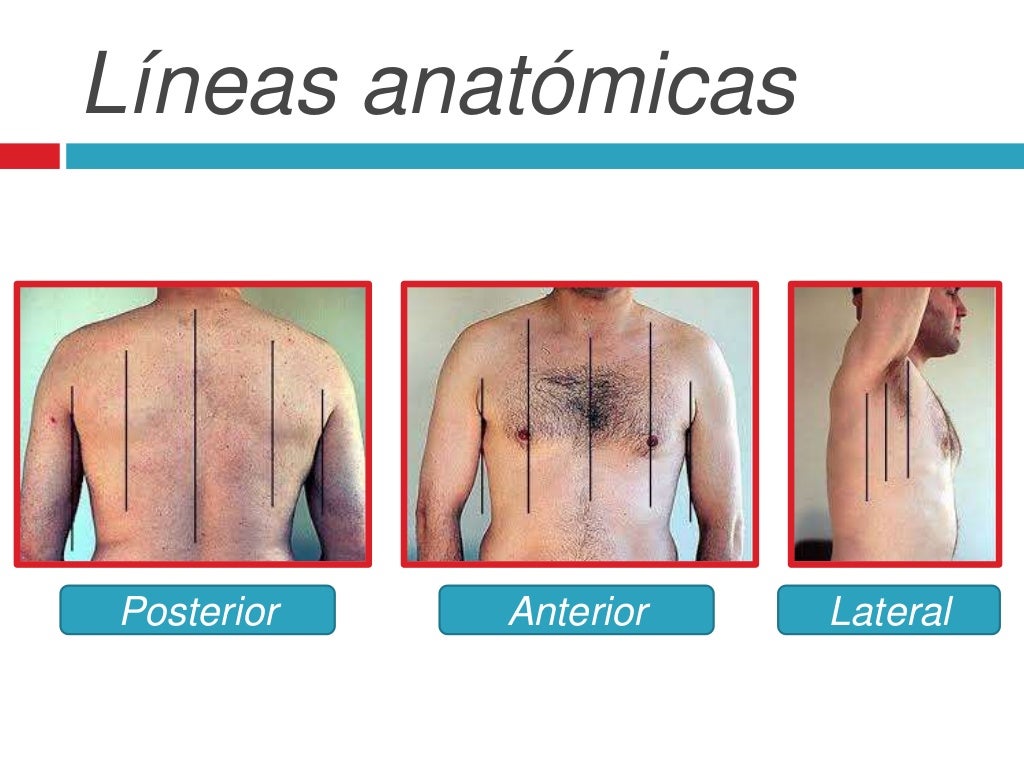 Tipos De Tórax Semiologia - RETOEDU