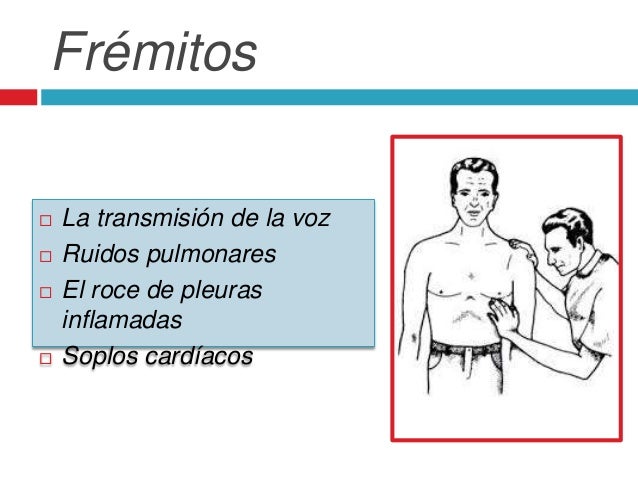 Semiología del tórax