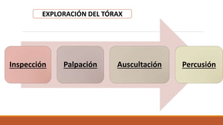 Semiología del Tórax.pptx | Lung and Respiratory Health | Diseases and ...