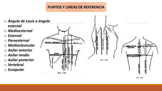 Semiología del Tórax.pptx