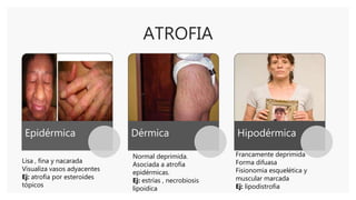 Semiología Dermatologica 2017 | PPTX