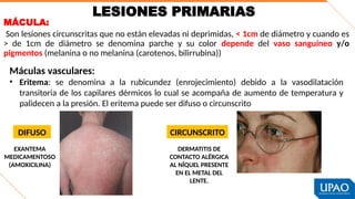 SEMIOLOGÍA DERMATOLÓGICA DE LA PIEL EX FISICA | PPTX