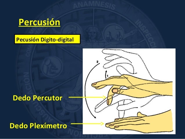 Semiología generalidades
