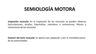 SEMIOLOGÍA MOTORA Y ROTs.pptx