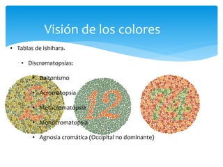 Semiología neurológica | PPTX