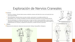 Semiología Neurológica Exploración Física.pptx