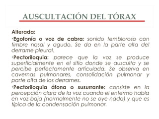 SEMIOLOGÍA RESPIRATORIA. DR. CASANOVA | PPT