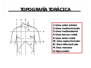 SEMIOLOGIA respiratoria guia y métodos de realización | PPTX