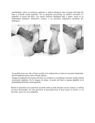 Semiologia abdominal | PDF