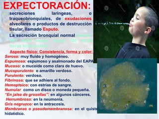 SEMIOLOGIA -APARATO RESPIRATORIO Y SUS CARACTERÍSTICAS | PPTX