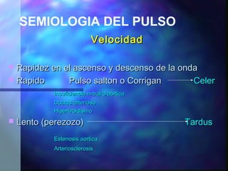 Semiologia: El pulso | PPT