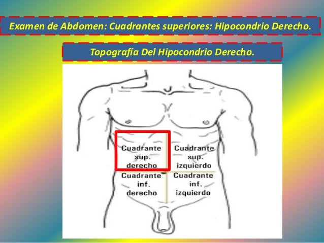 Semiologia examen fisico de los cuadrantes superiores del abdomen.