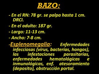 Semiologia abdomen | PPT