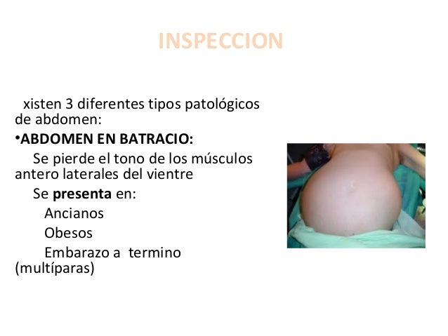 Semiologia abdomen