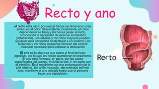 semiologia Abdominal y gastrointestinal. | PPTX