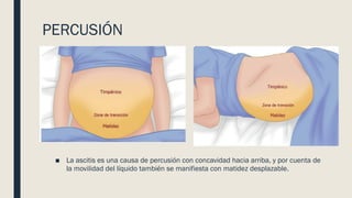 Semiologia abdominal higado, intestinos. | PPTX