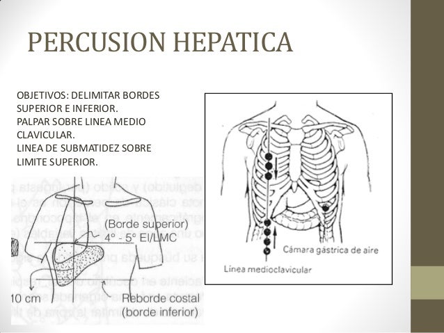 Semiologia Abdominal