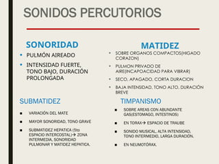 semiologia del aparato respiratorio pediatria | PPT