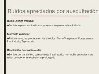 semiologia del aparato respiratorio pediatria | PPT