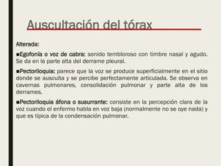 semiologia del aparato respiratorio pediatria | PPT